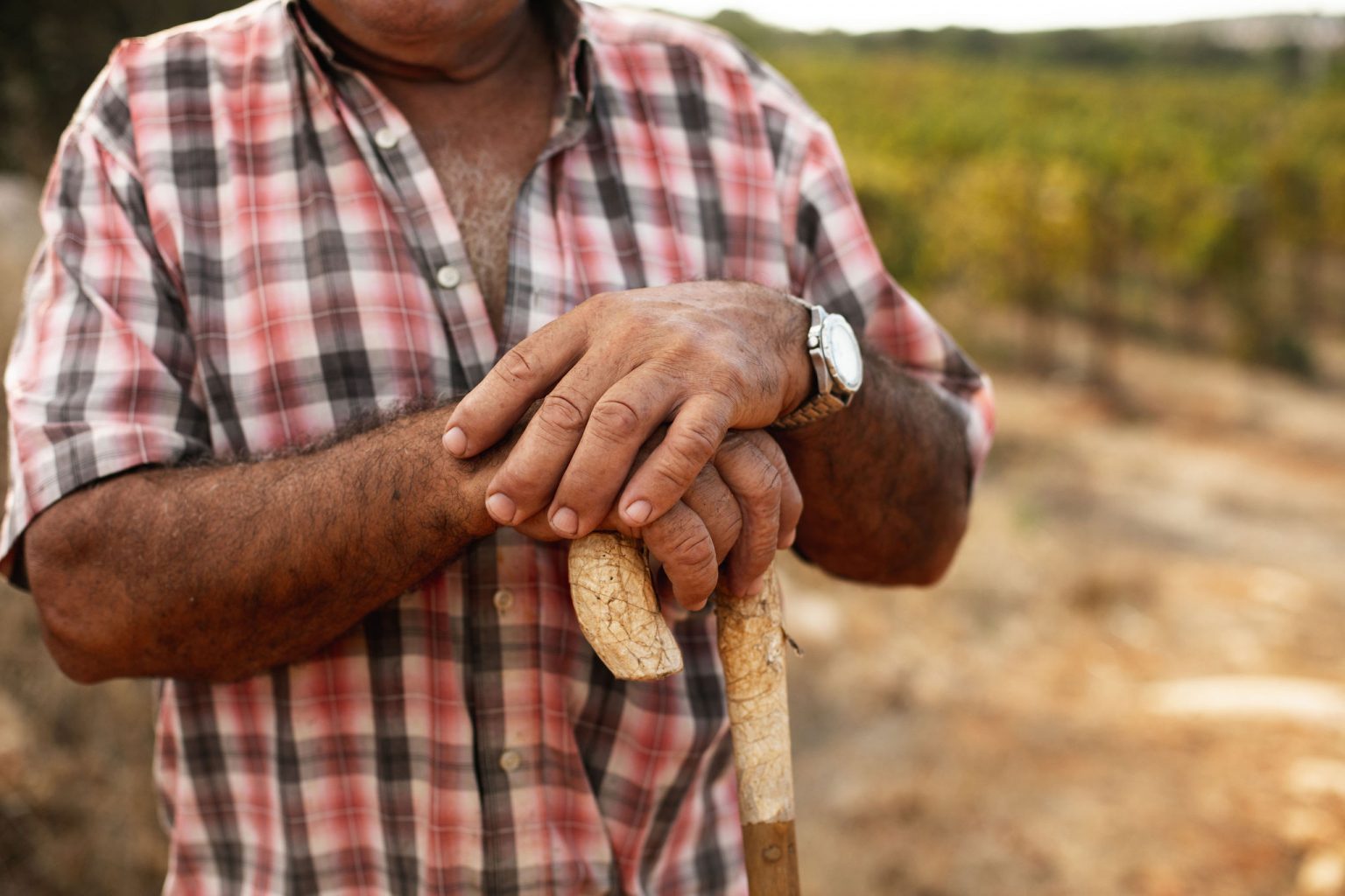 Arvad Homepage - Arvad