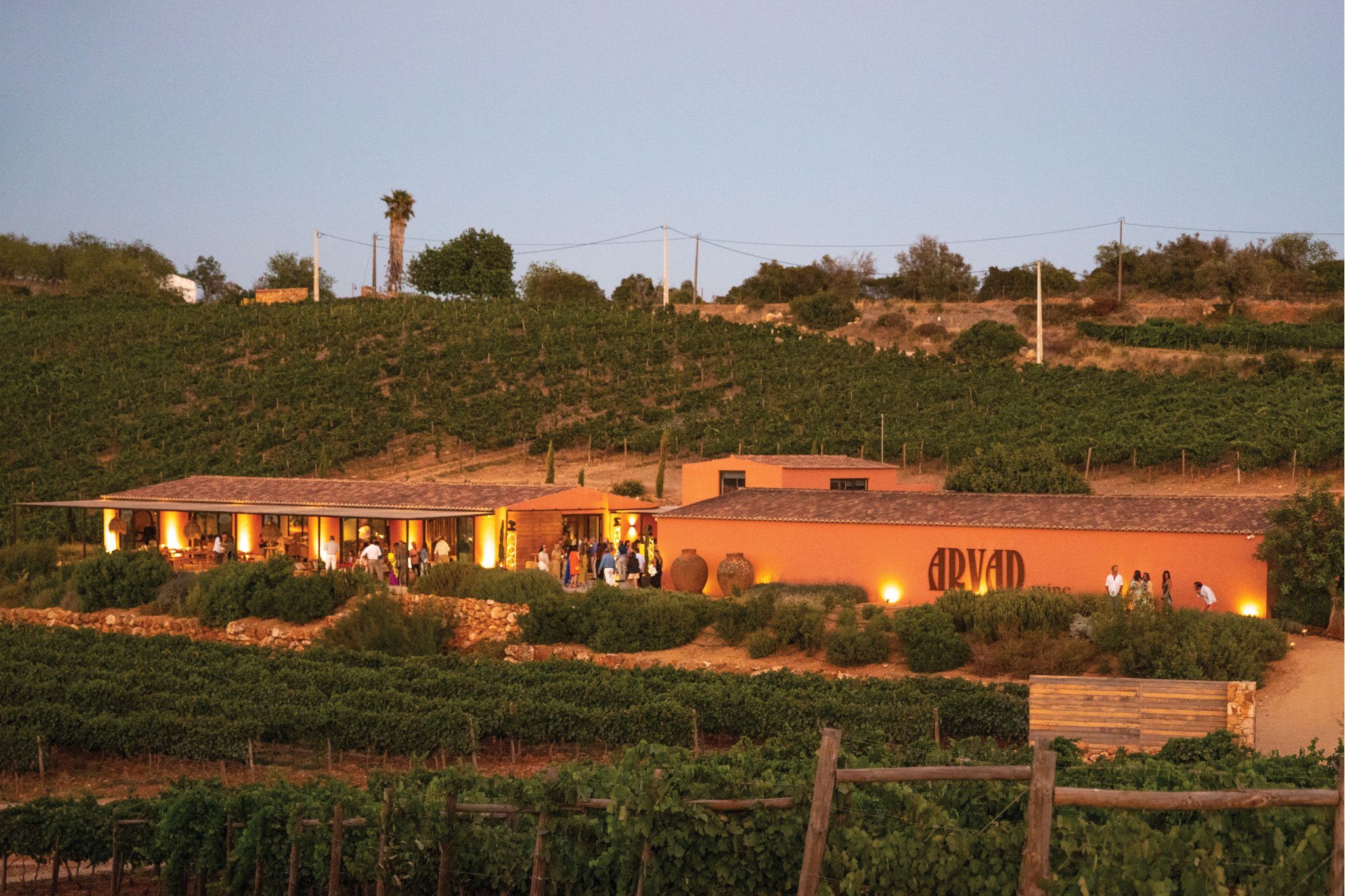 Arvad Homepage - Arvad