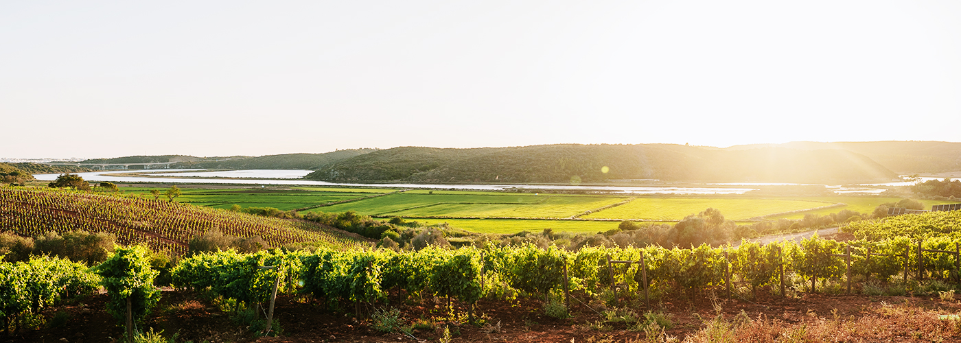 Arvad Homepage - Arvad